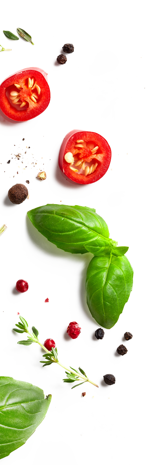 meine hausgemachte cornichons bauen sie ihre eigenen schweizer gurken ...